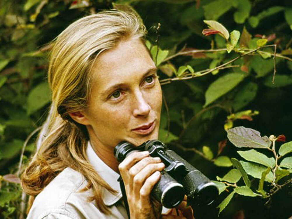 Dr. Jane Goodall - Jane Goodall Institute Belgium